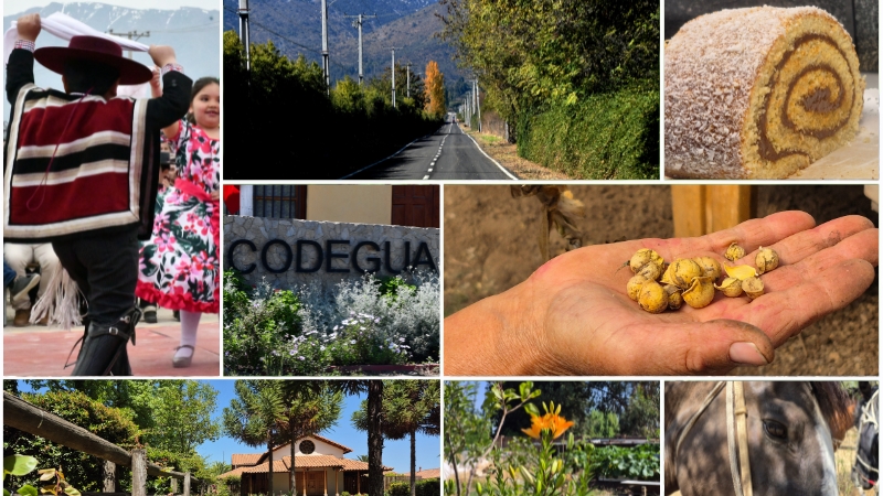 Municipalidad de Codegua